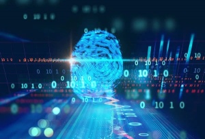 Central Bank and Cabinet of Ministers to work out remote biometric ...